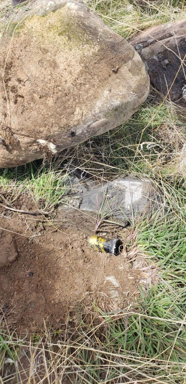 Grandparents Going Stir Crazy? - Align Therapy Clinic, Utah